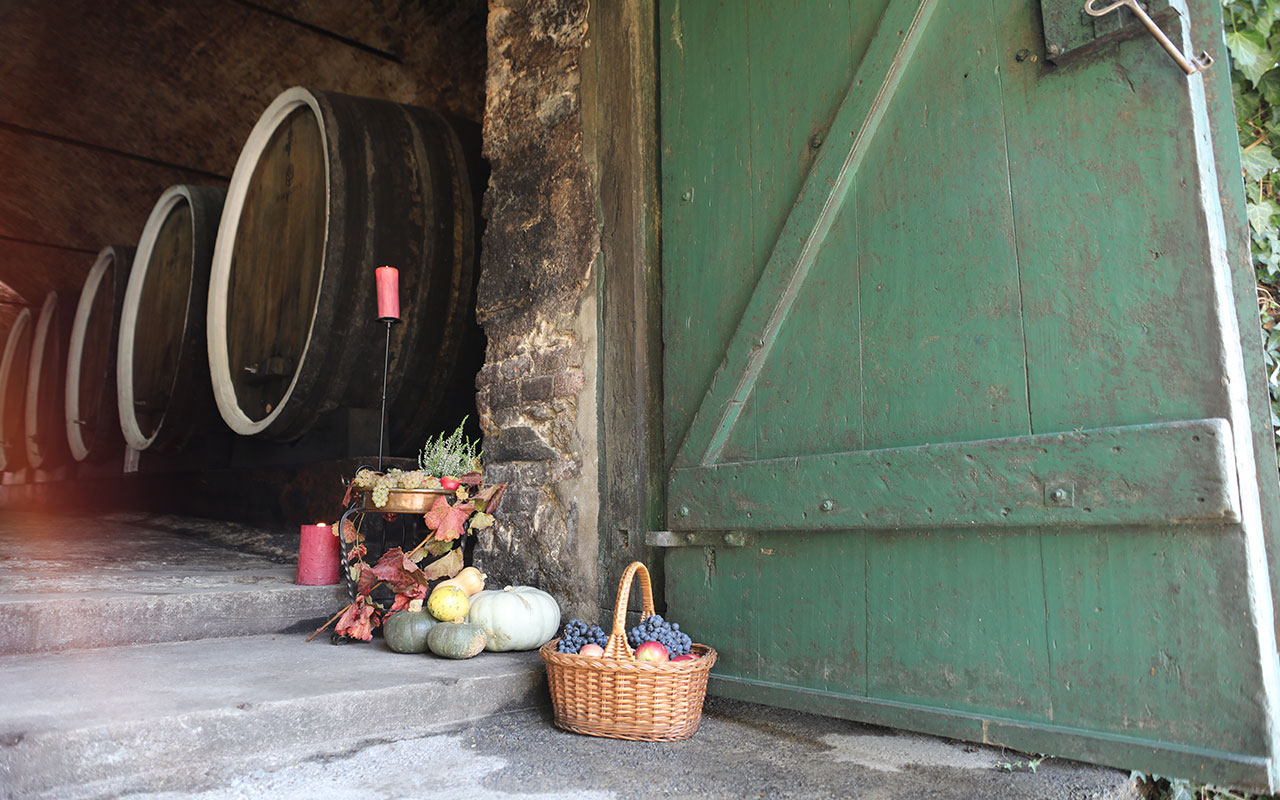 Podrum vina - PP Orahovica HR