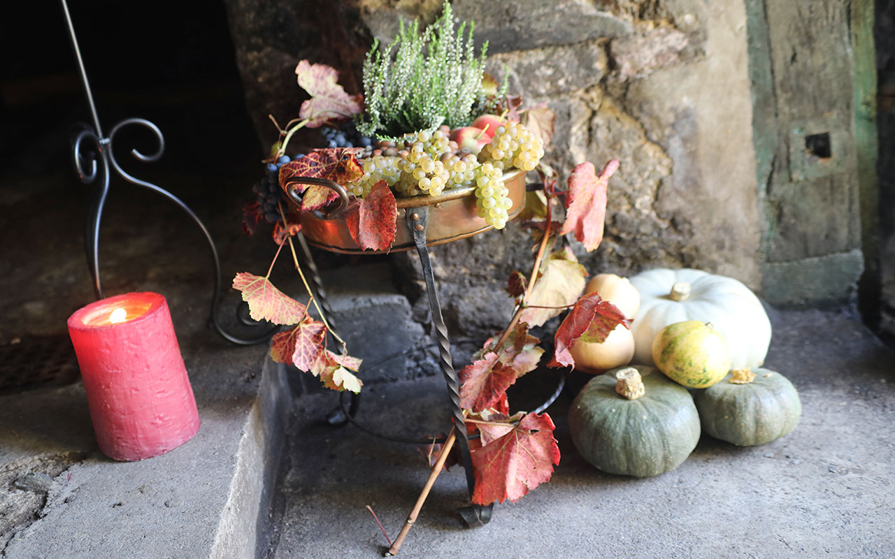 Podrum vina - PP Orahovica HR